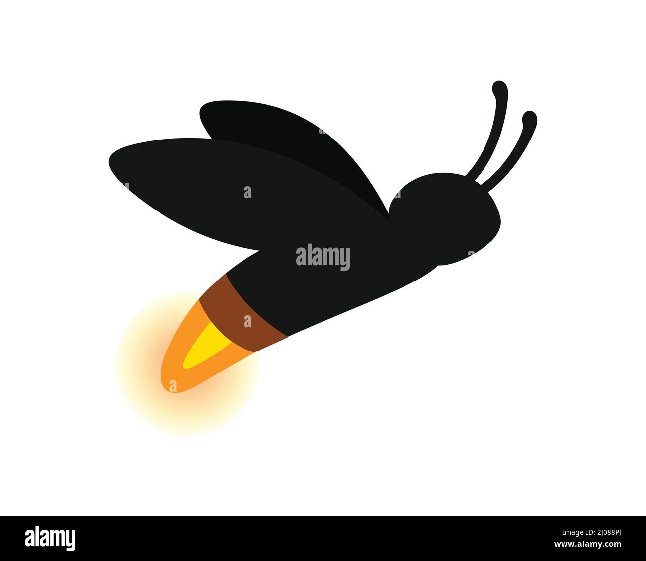 Firefly insect Cut Out Stock Images & Pictures - Alamy