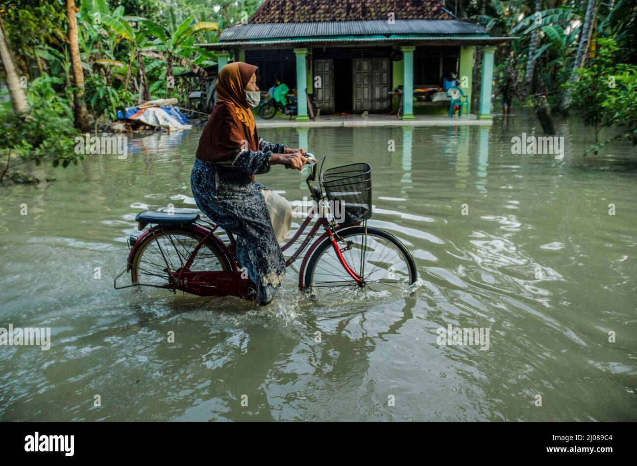 Bogowonto hi-res stock photography and images - Alamy