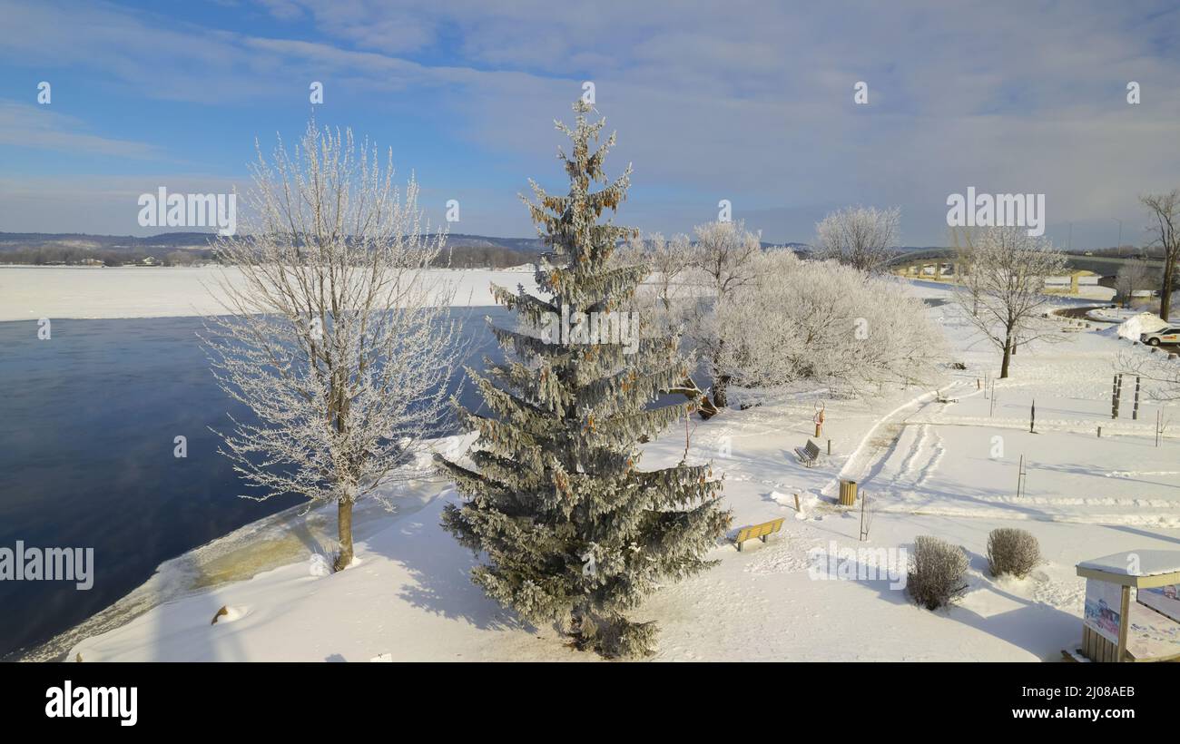 Winter landscape with evergreens and other trees with snow on them next ...