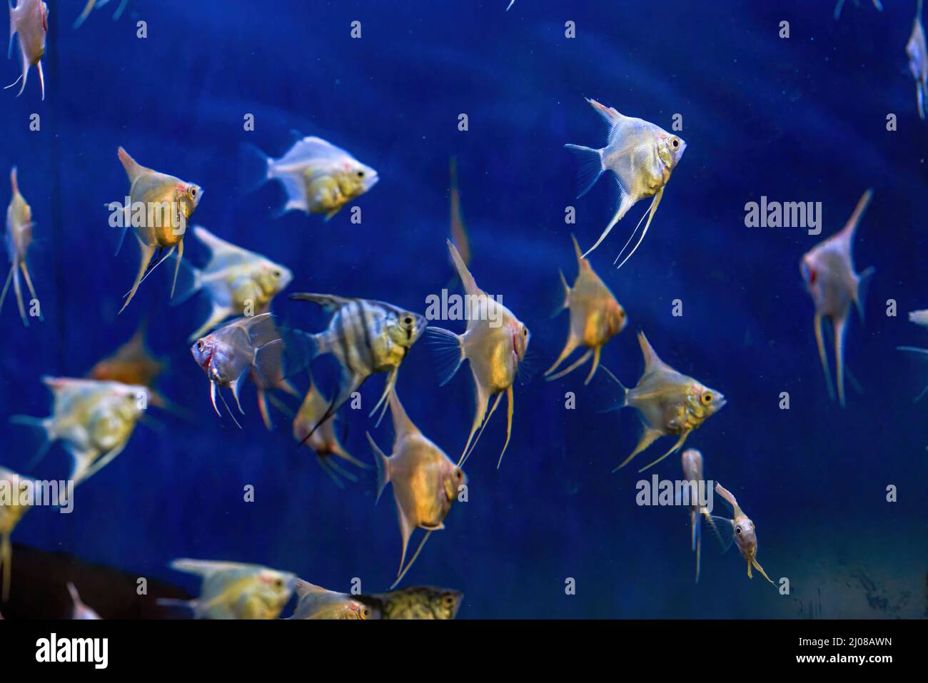 Raised water tank hi-res stock photography and images - Alamy