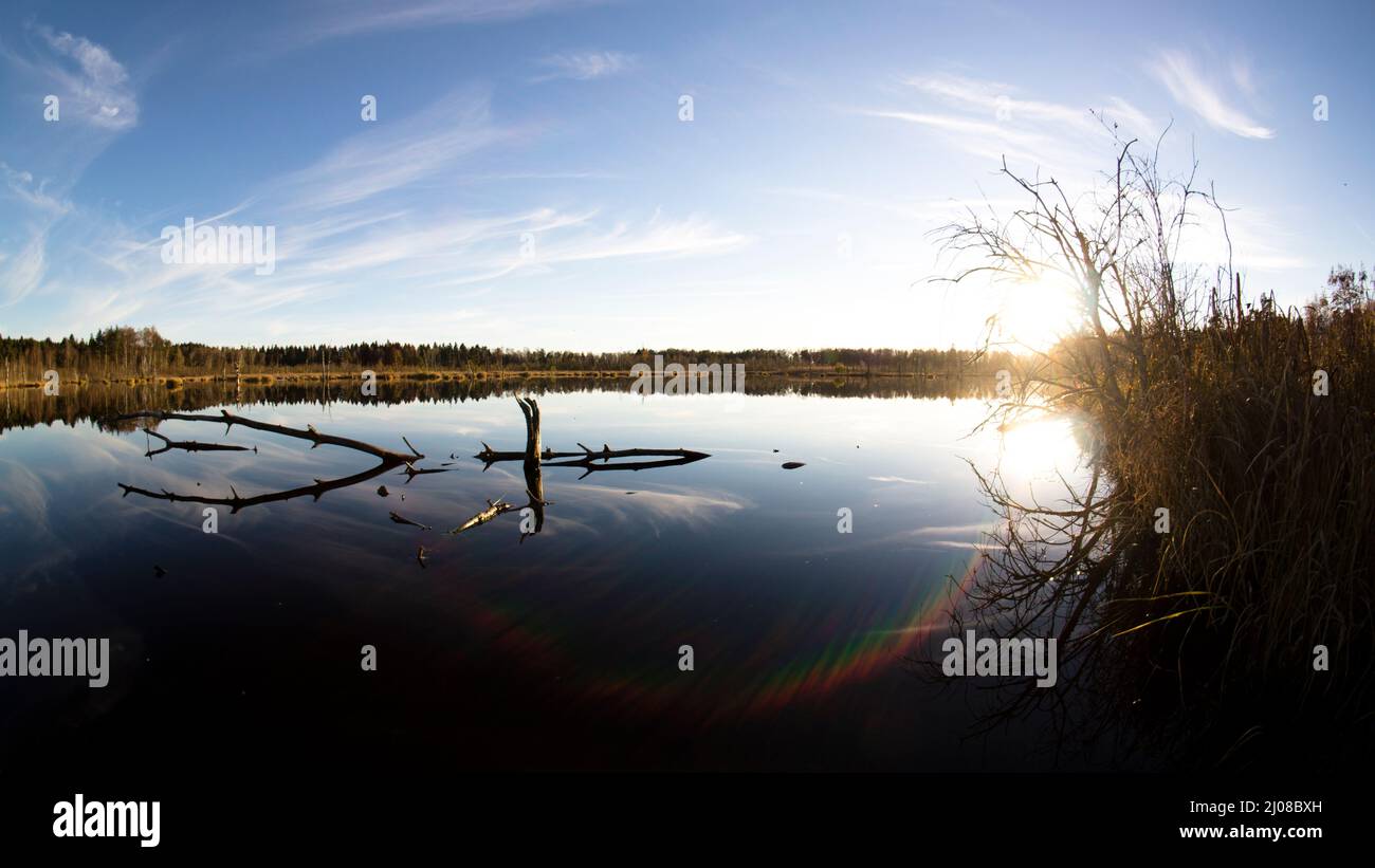 Black forest nature reserve hi-res stock photography and images - Alamy