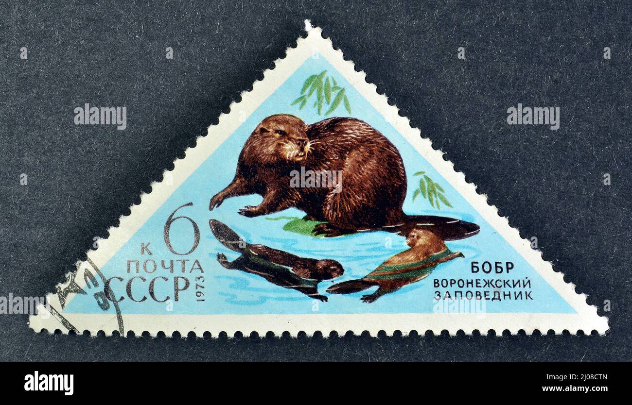 Cancelled postage stamp printed by Soviet Union, that shows Eurasian ...