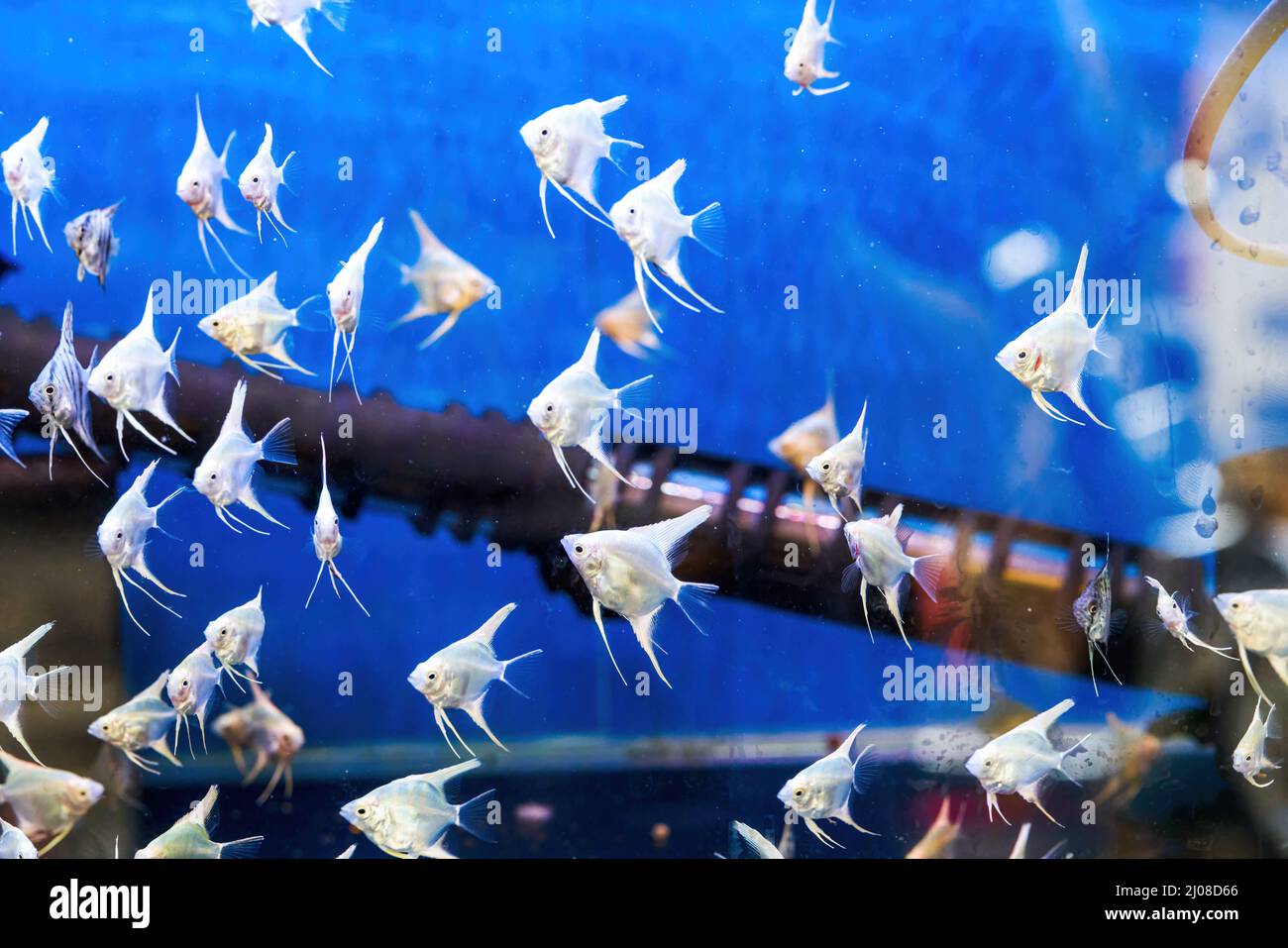 Raised water tank hi-res stock photography and images - Alamy