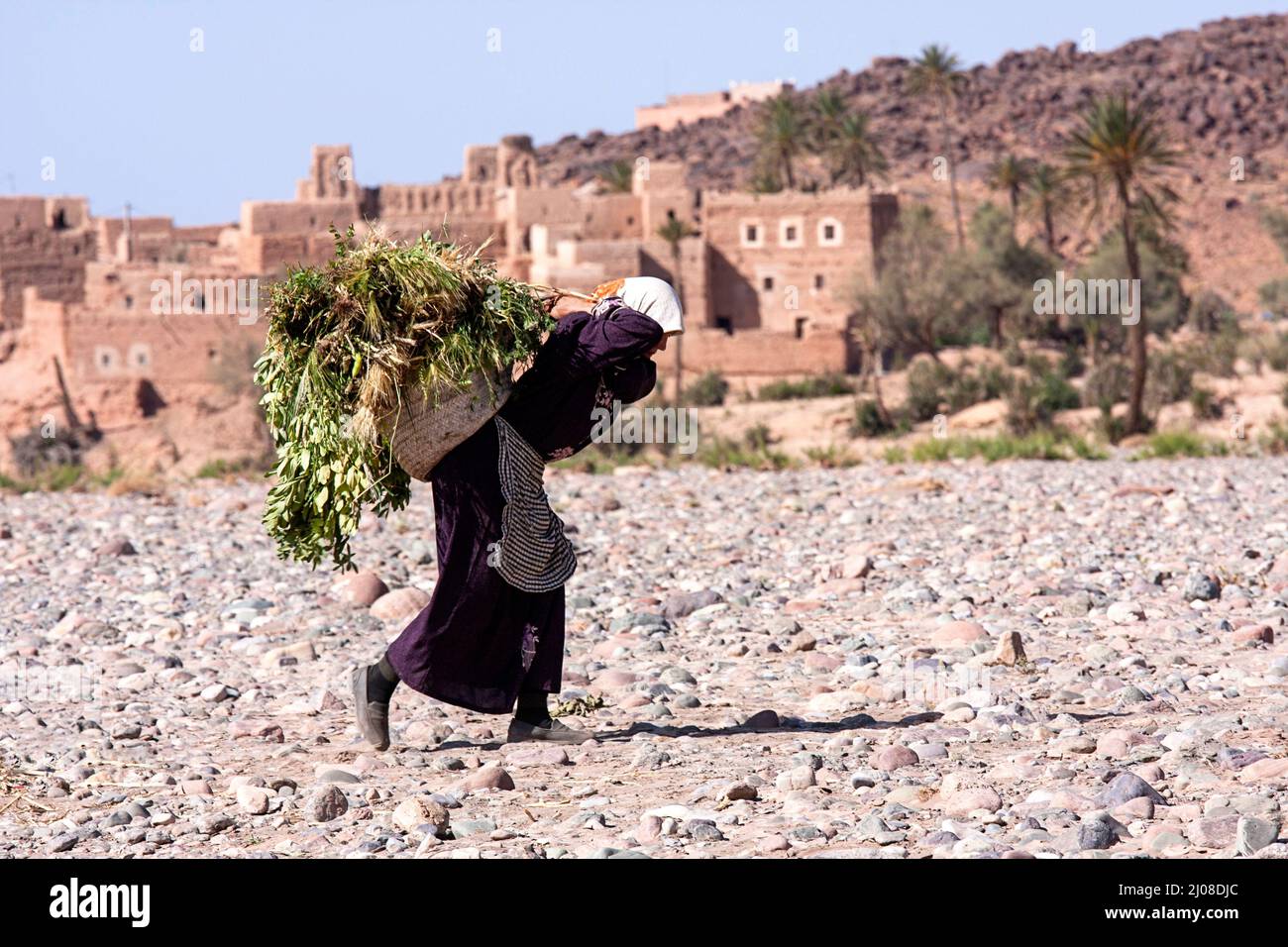 Women farming morocco hi-res stock photography and images - Alamy