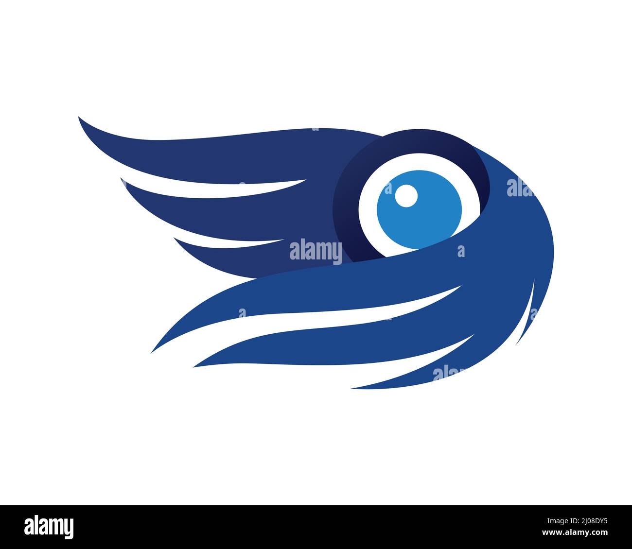 Drone, Aerial Photography and Aerial Videography with Wings Symbol ...