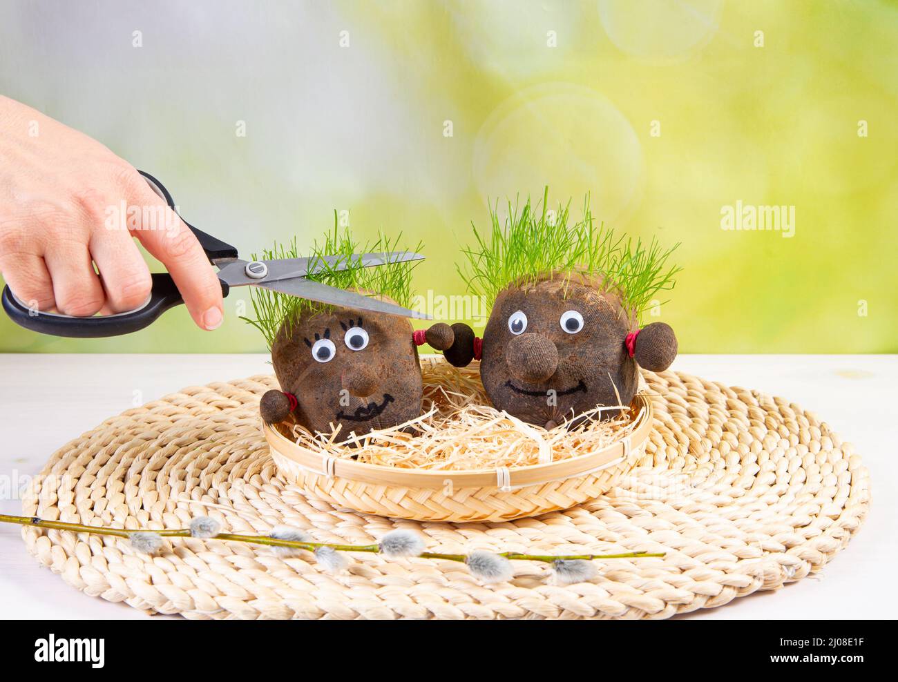 Two cute homemade grass heads and hand trimming growing hair grass ...