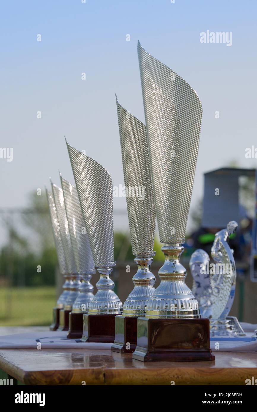 Silver Sports Cups Placed in a Row on Top of an Outdoor Wooden Table ...