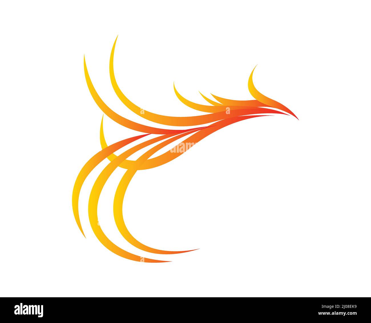 Phoenix Rising and Flying to the Sky Stock Vector Image & Art - Alamy