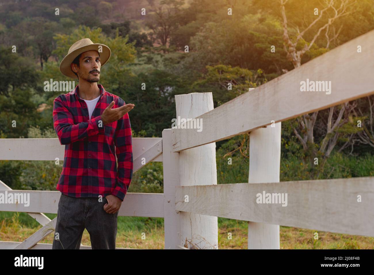 India pointing hi-res stock photography and images - Alamy