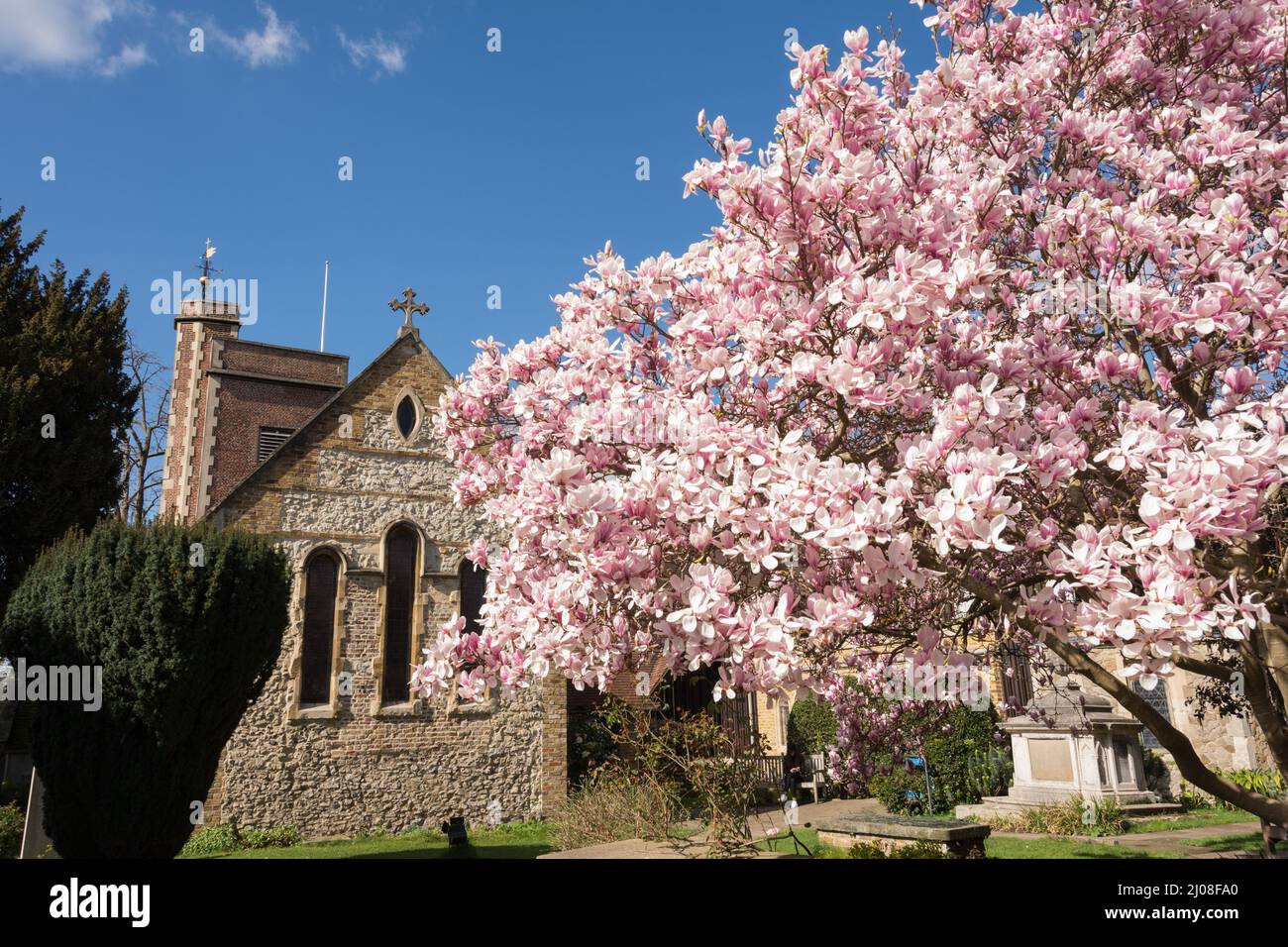 Magnolia village hi-res stock photography and images - Alamy