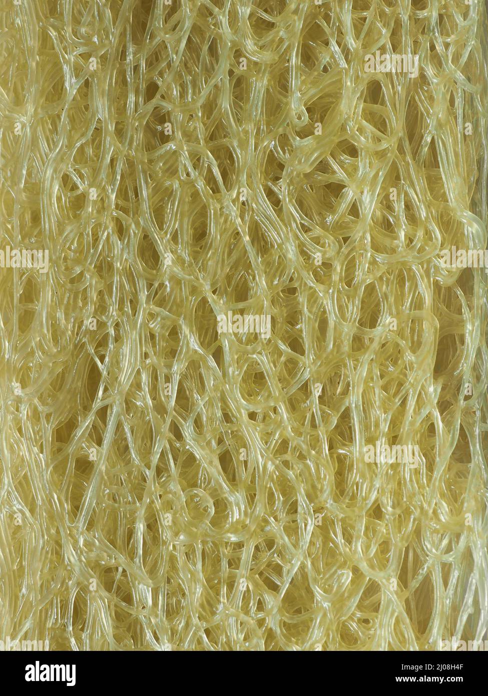 rice vermicelli noodles traditional asian pasta food useful as a ...