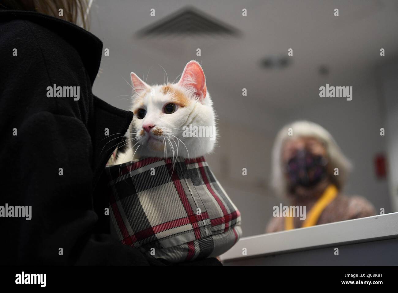 Arrival center tegel airport hi-res stock photography and images - Alamy