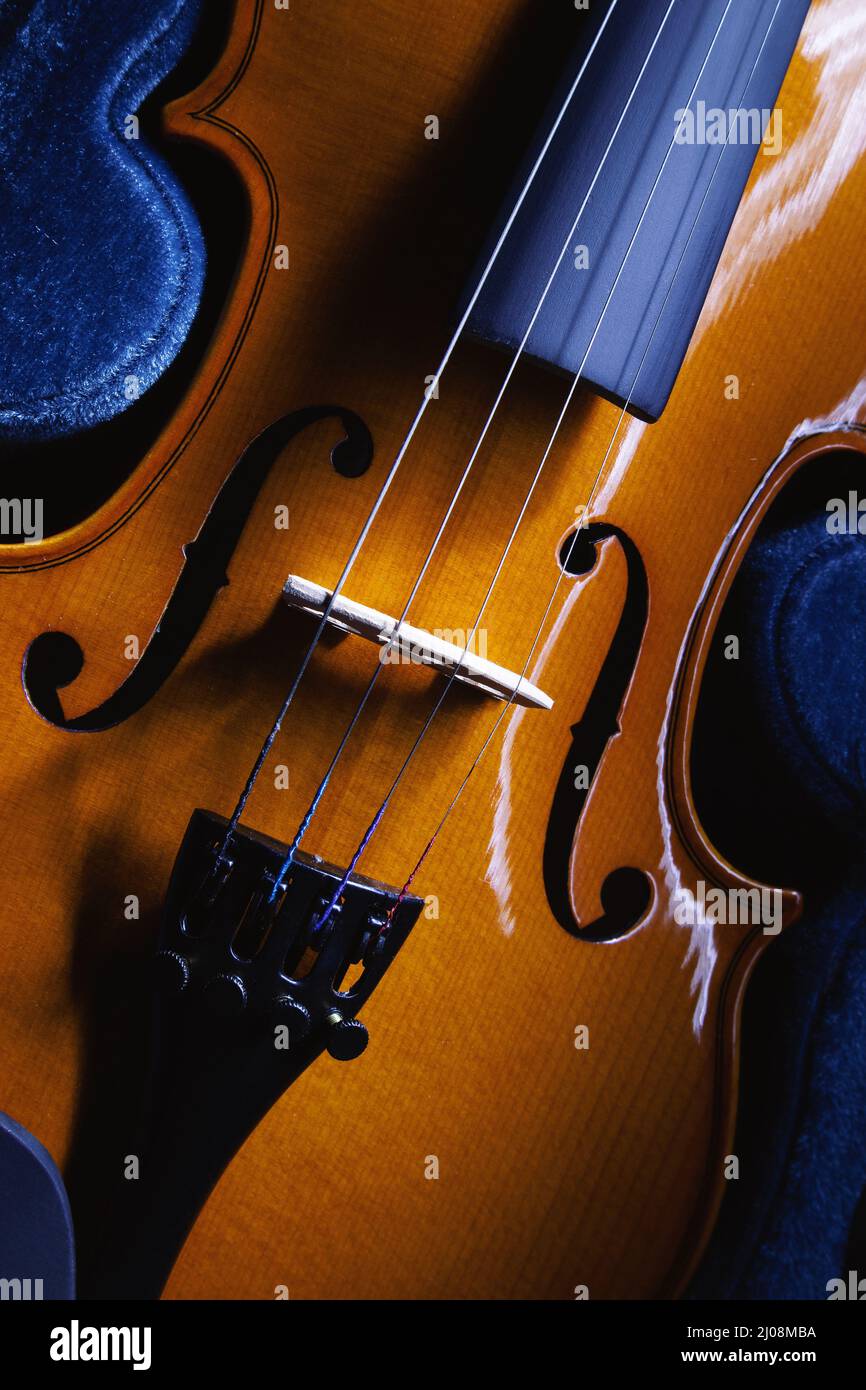 Closeup view on small violin, one half size, view on details Stock ...