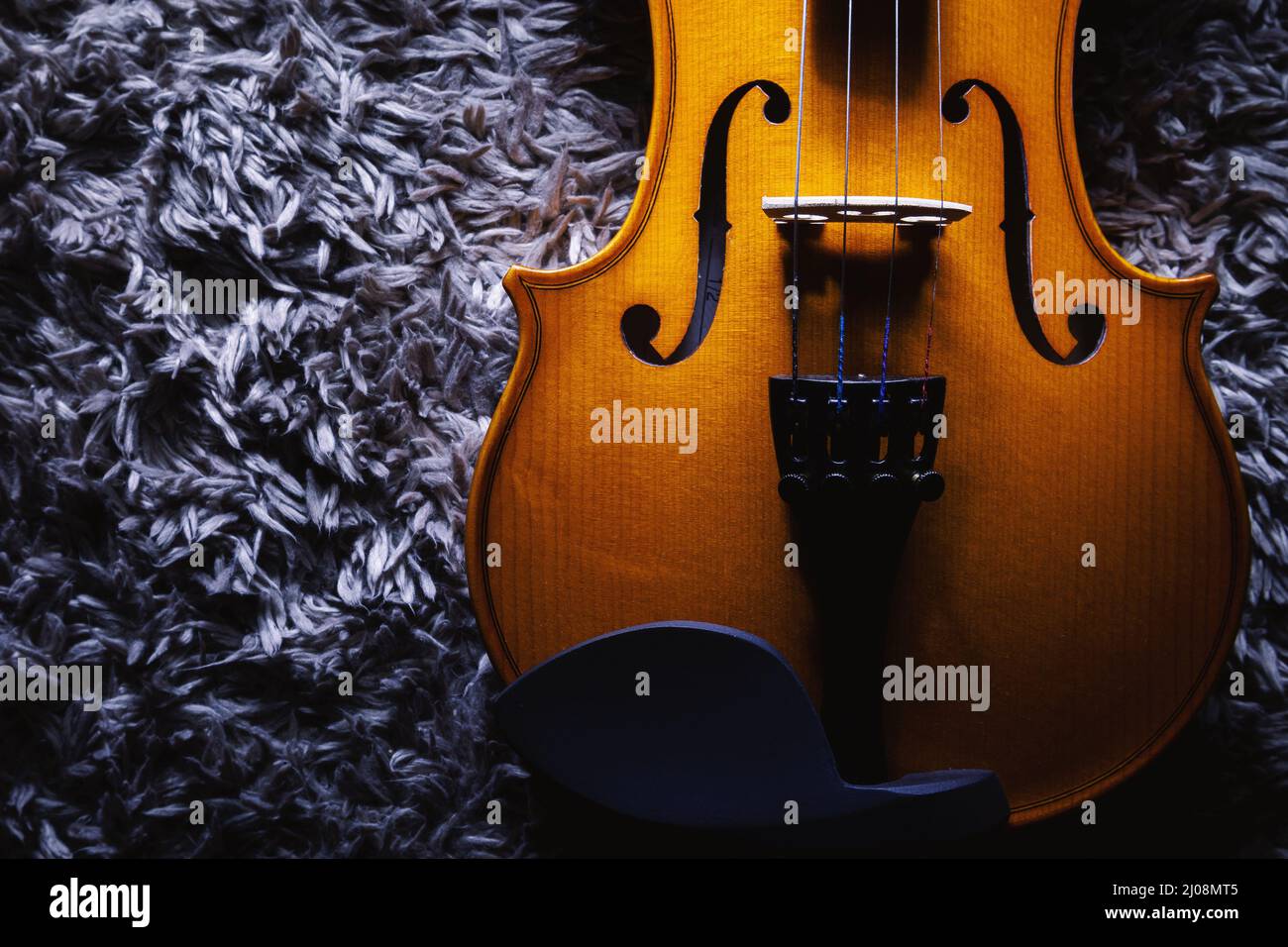 Closeup view on small violin, one half size, view on details Stock ...
