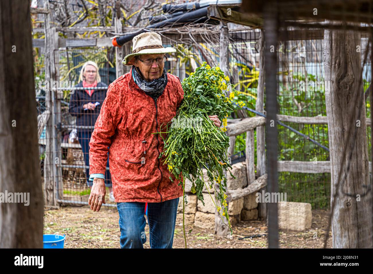 Farming in northern cyprus hi-res stock photography and images - Alamy
