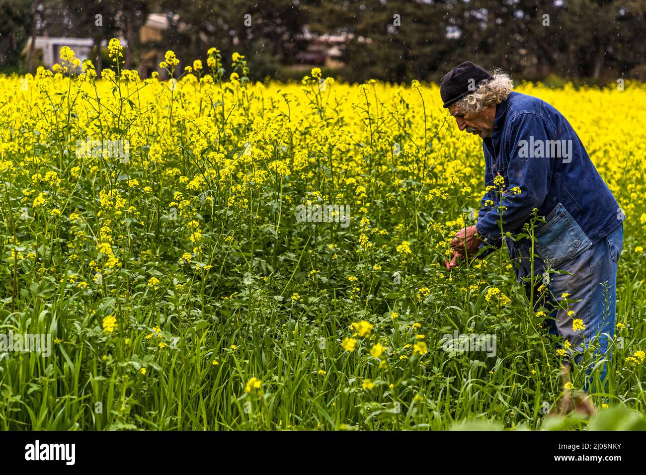 Farming in northern cyprus hi-res stock photography and images - Alamy