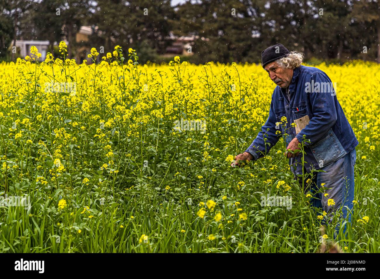 Farming in northern cyprus hi-res stock photography and images - Alamy