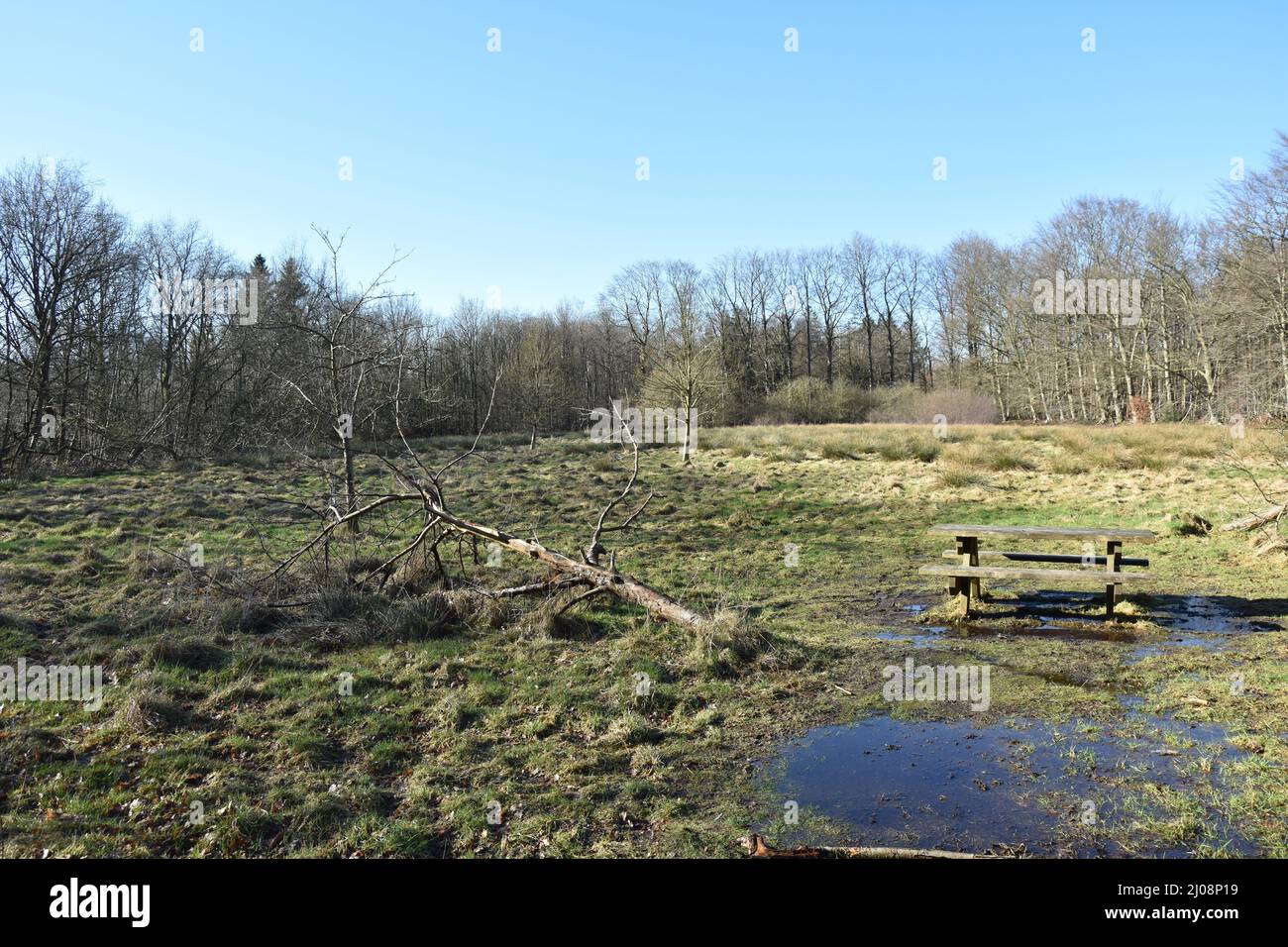 Beautiful view of green field in the Netherlands Stock Photo - Alamy
