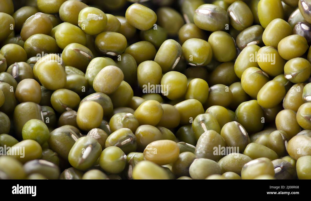Asian agriculture photography hi-res stock photography and images - Alamy