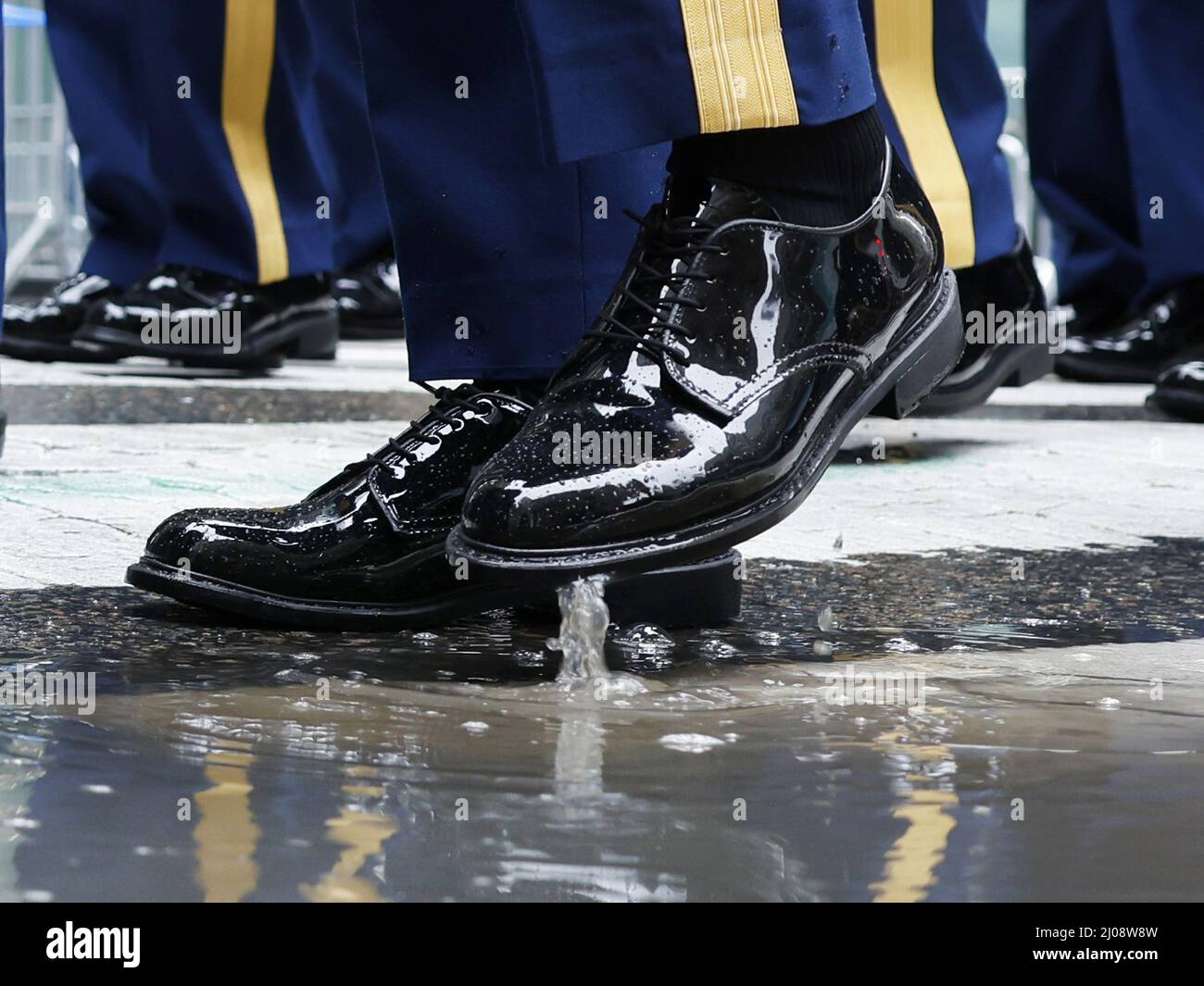 Puddle on parade hi-res stock photography and images - Alamy