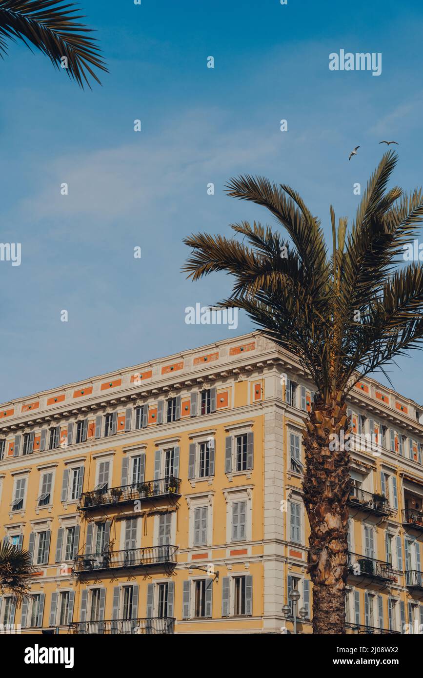 Residential building in Nice, France, seen behind a palm tree, against ...