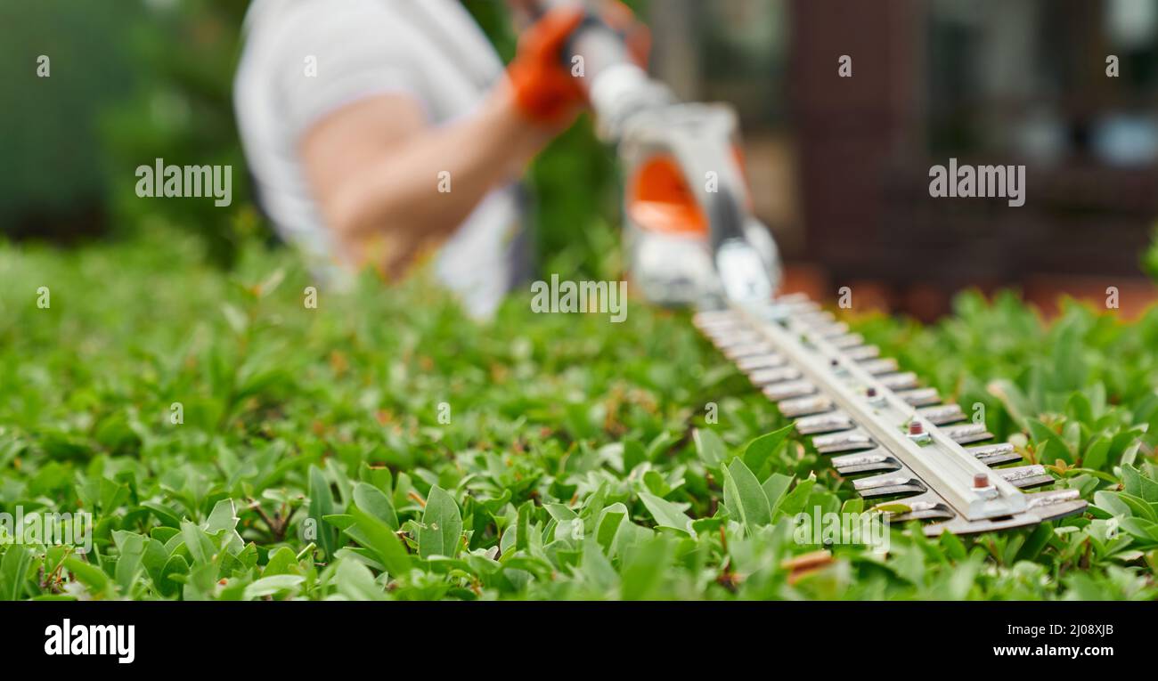 Electric hedge hi-res stock photography and images - Alamy