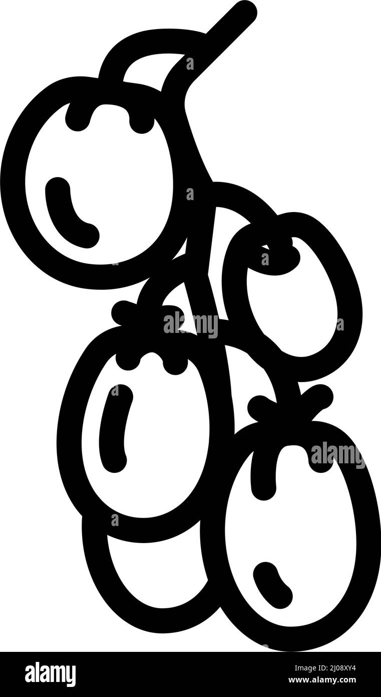 branch tomato line icon vector illustration Stock Vector Image & Art ...