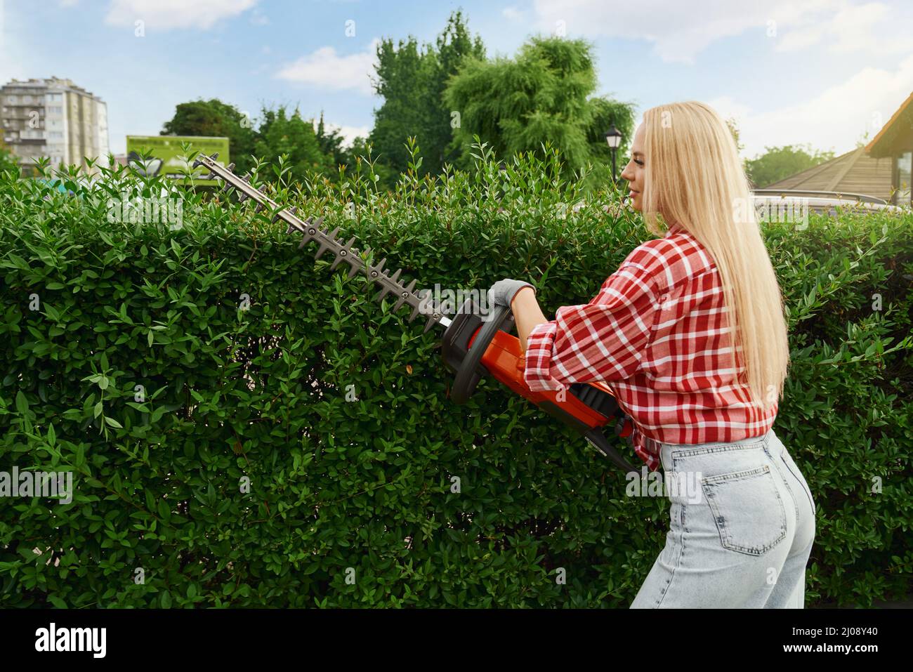 Side view of attractive caucasian woman in casual wear pruning hedge ...