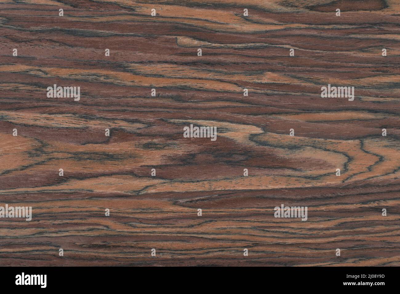 Palisander 7 wood panel texture pattern Stock Photo - Alamy
