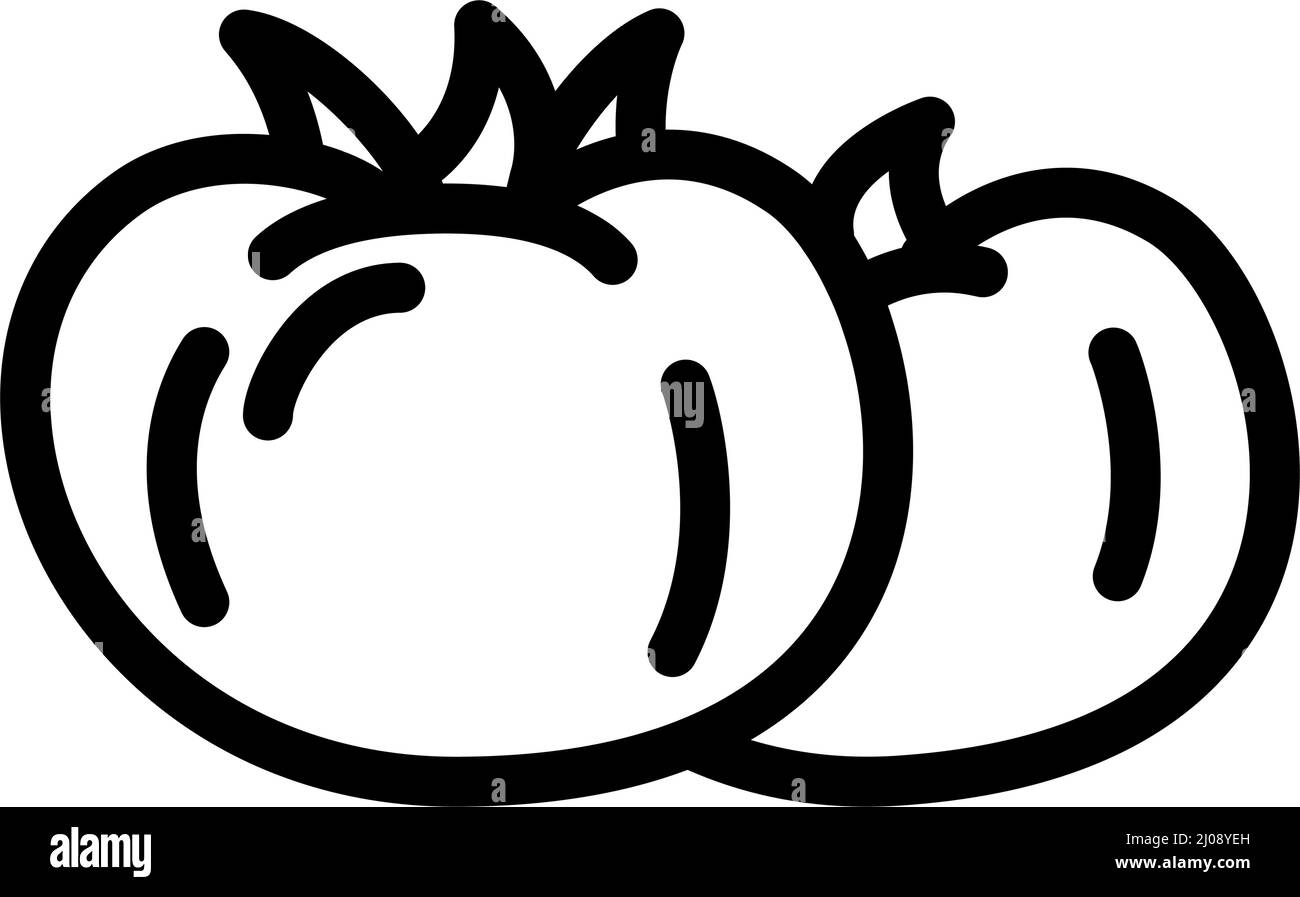 tomatoes of various colors line icon vector illustration Stock Vector ...