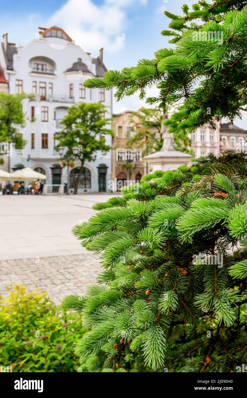 The Main Market Square in Bielsko-Biala, Poland Stock Photo - Alamy