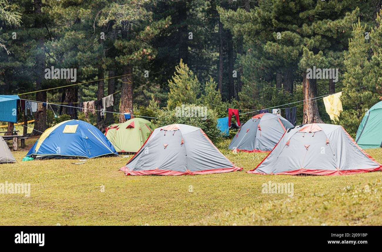 A large group of tents is located in the forest in a camping. The ...