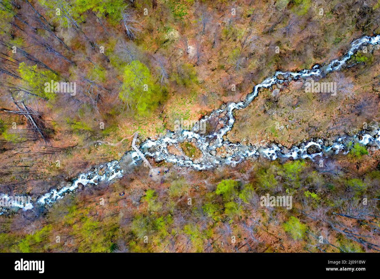 Top view from drone of two rapids of a mountain river. Nature ...