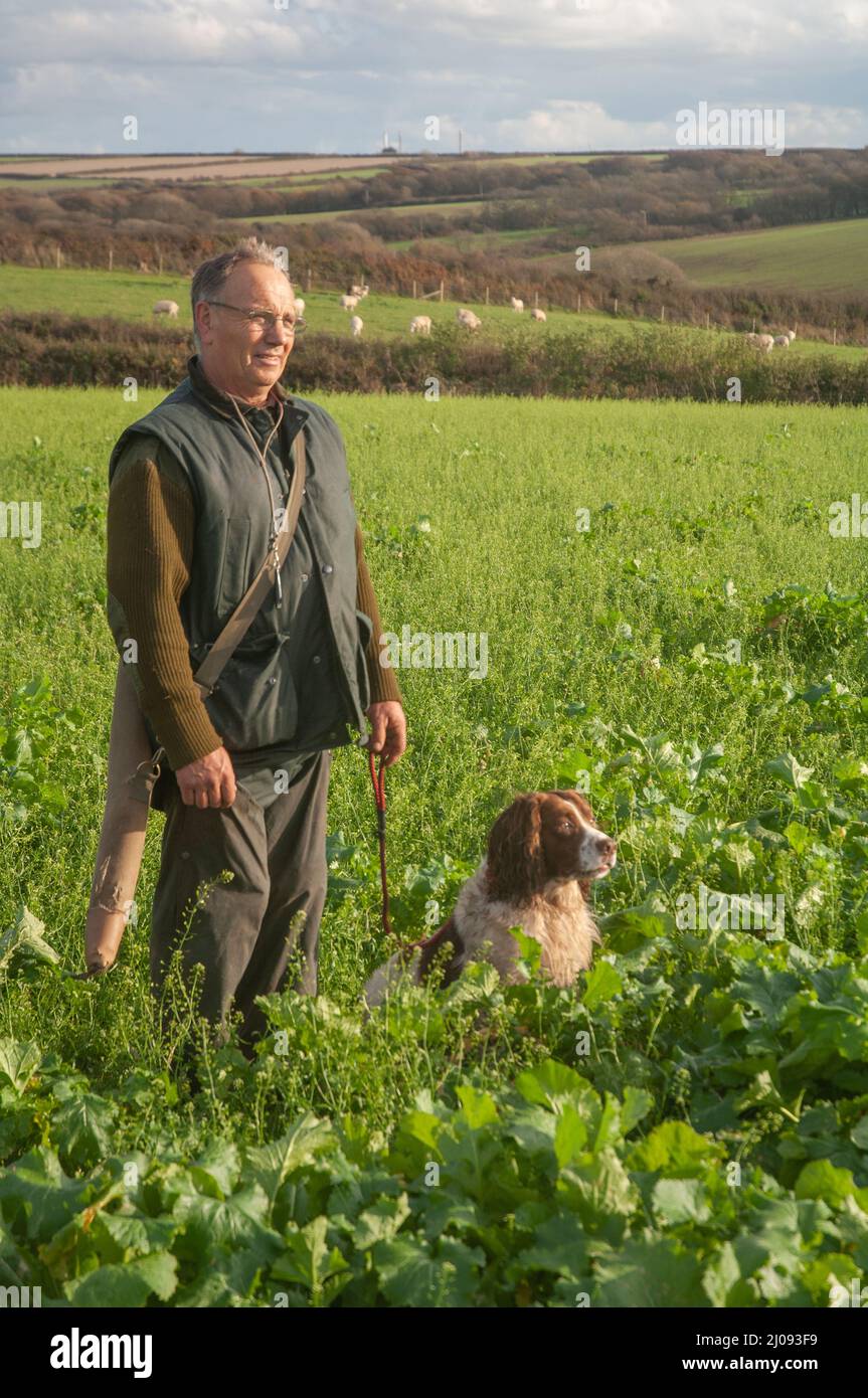 Beating, pheasant shoot, Pembrokeshire, Wales, UK Stock Photo - Alamy