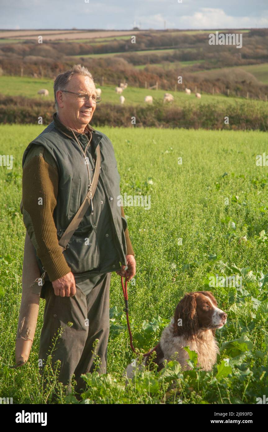 Pheasant flush hi-res stock photography and images - Alamy