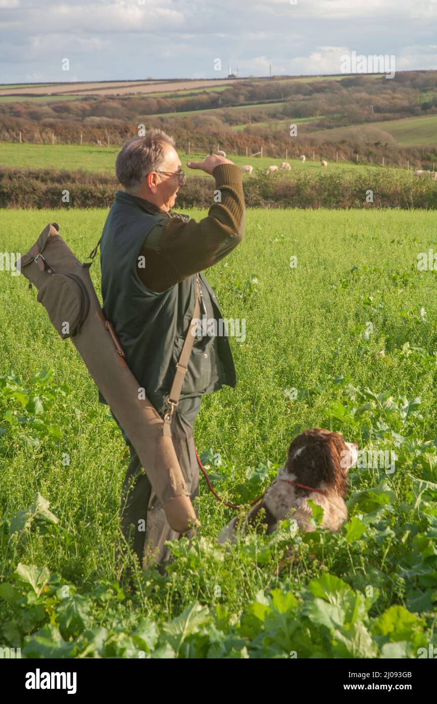 Beating, pheasant shoot, Pembrokeshire, Wales, UK Stock Photo - Alamy