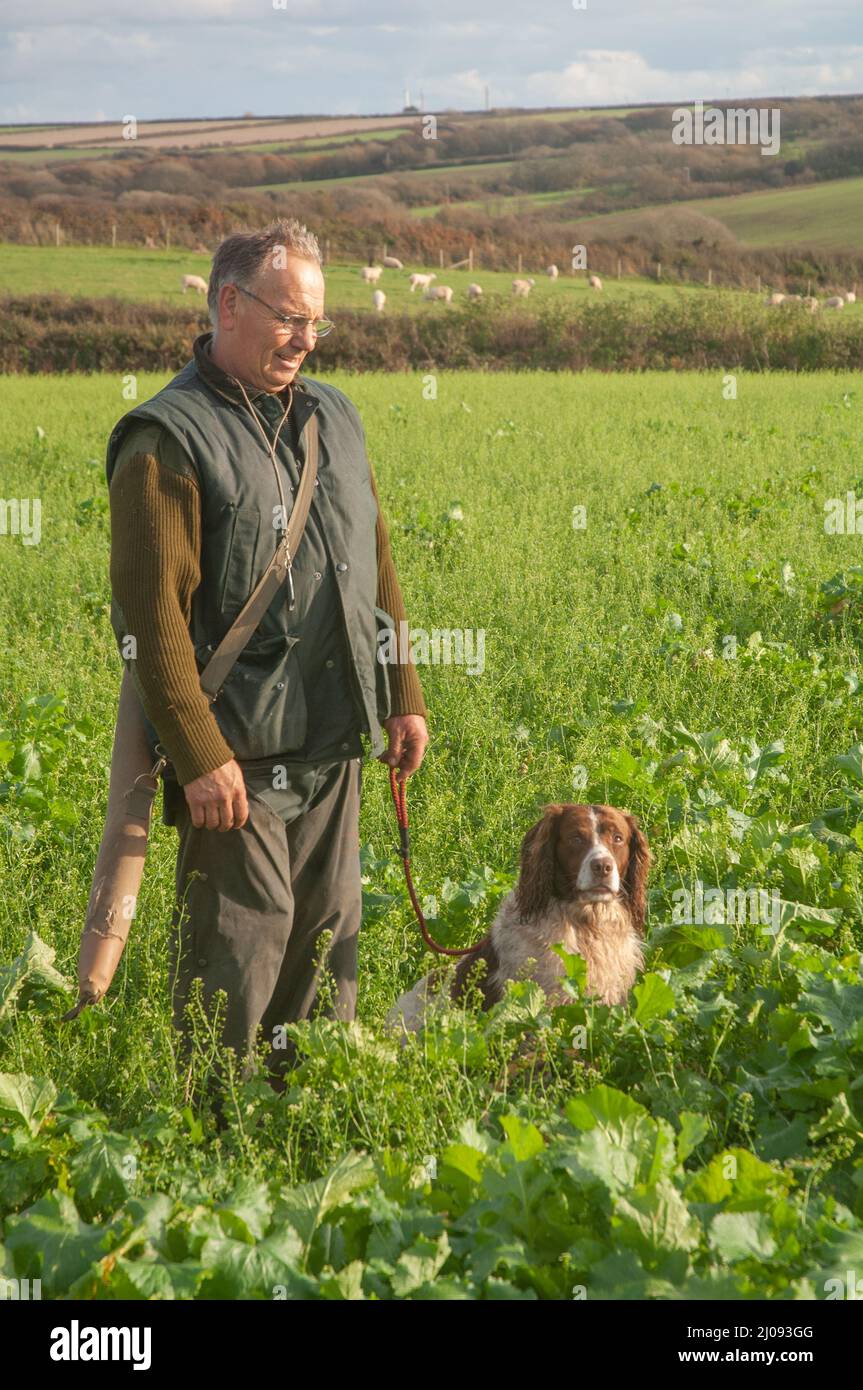 Beating, pheasant shoot, Pembrokeshire, Wales, UK Stock Photo - Alamy