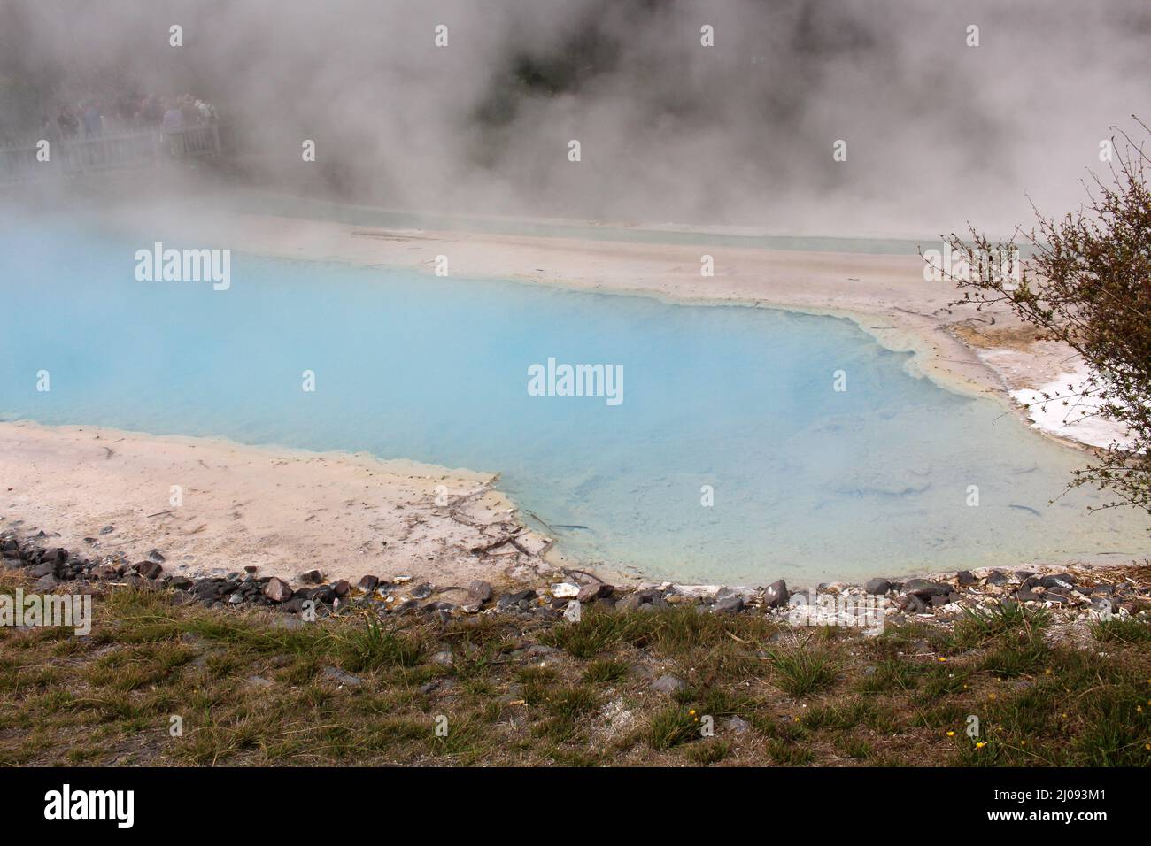 Geysers in the Wairakei Natural Thermal Valley on North Island, New ...