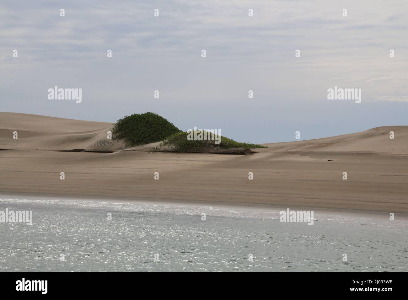 Dune landscape on the coast of Baja California Sur, Mexico Stock Photo ...