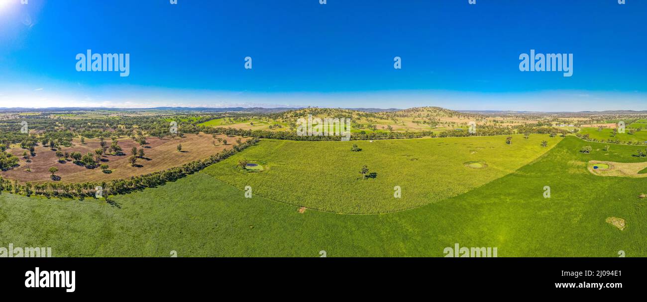 Panoramic shot of green agricultural field with trees in Emmaville, NSW ...
