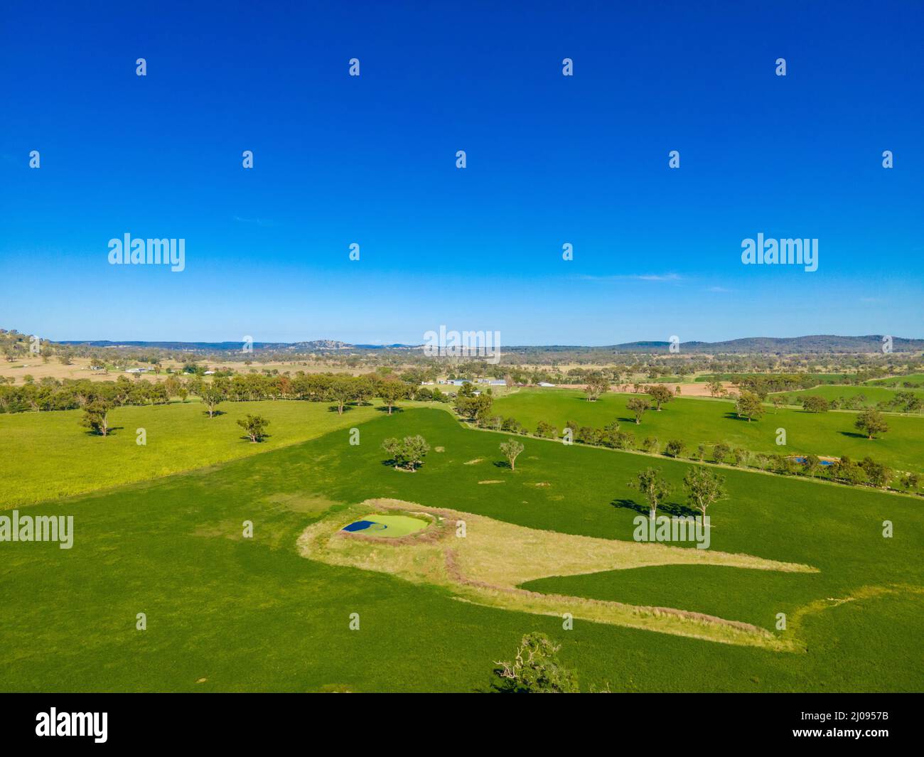 Panoramic shot of green agricultural field with trees in Emmaville, NSW ...