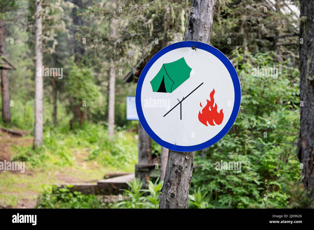 Camping zone sign in the woods. Space for tent and campfire Stock Photo ...