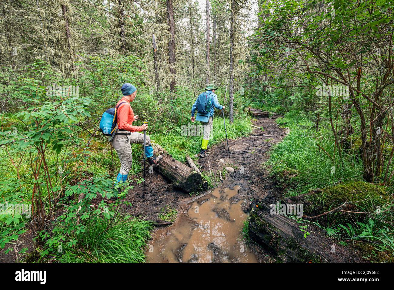 Hikers and tourists walk along a muddy trail soaked after heavy rain ...