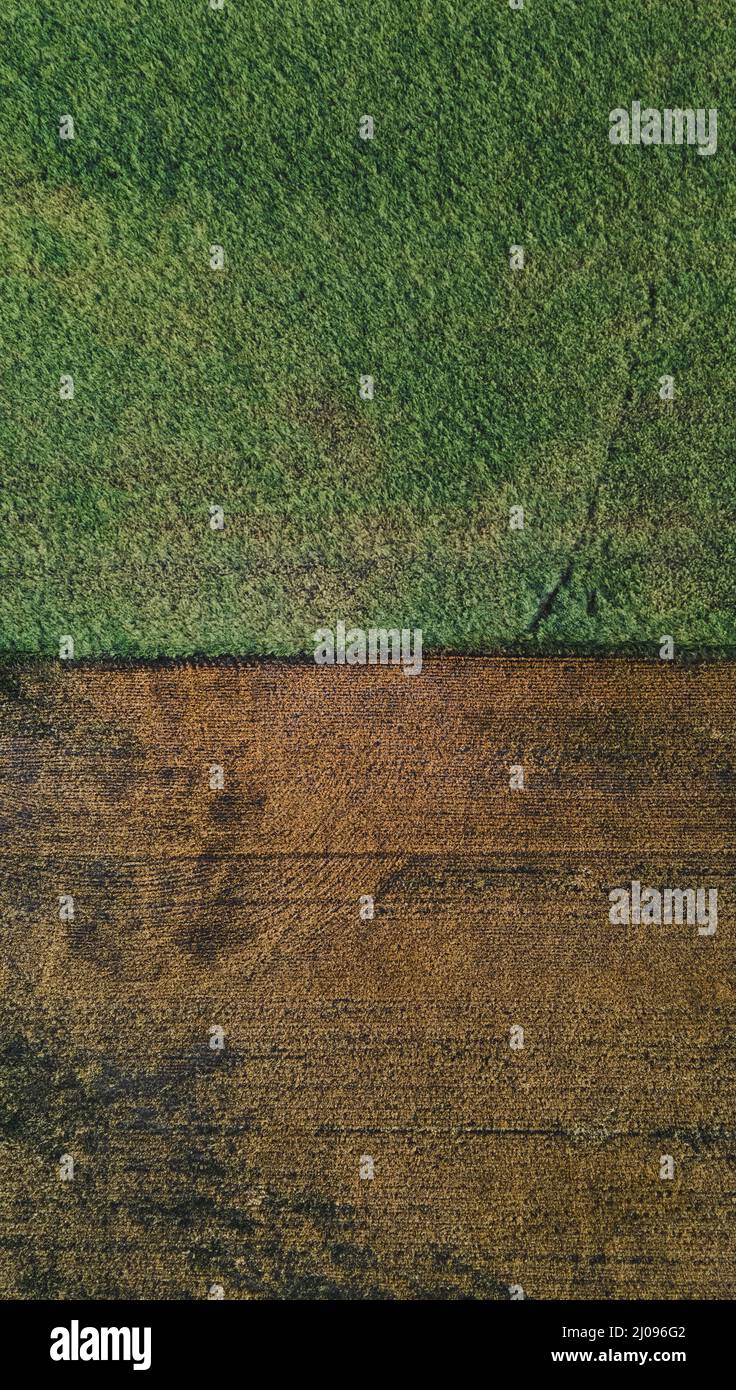 Top view of an agricultural field in a daylight Stock Photo - Alamy
