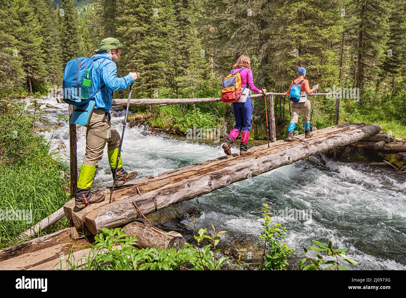 Group hiking in jungle bridge hi-res stock photography and images - Alamy