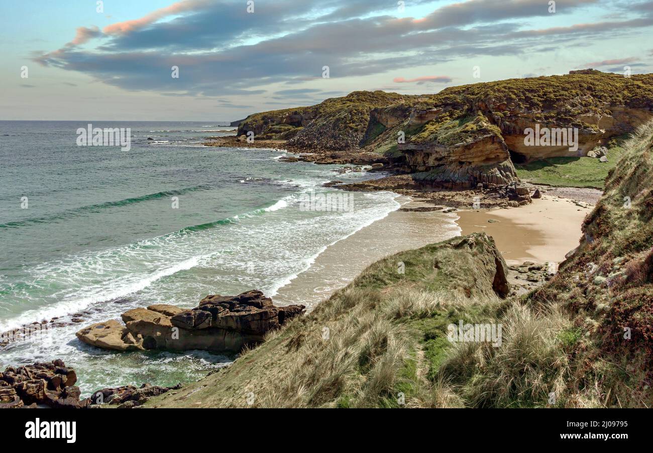 Cove bay hi-res stock photography and images - Alamy