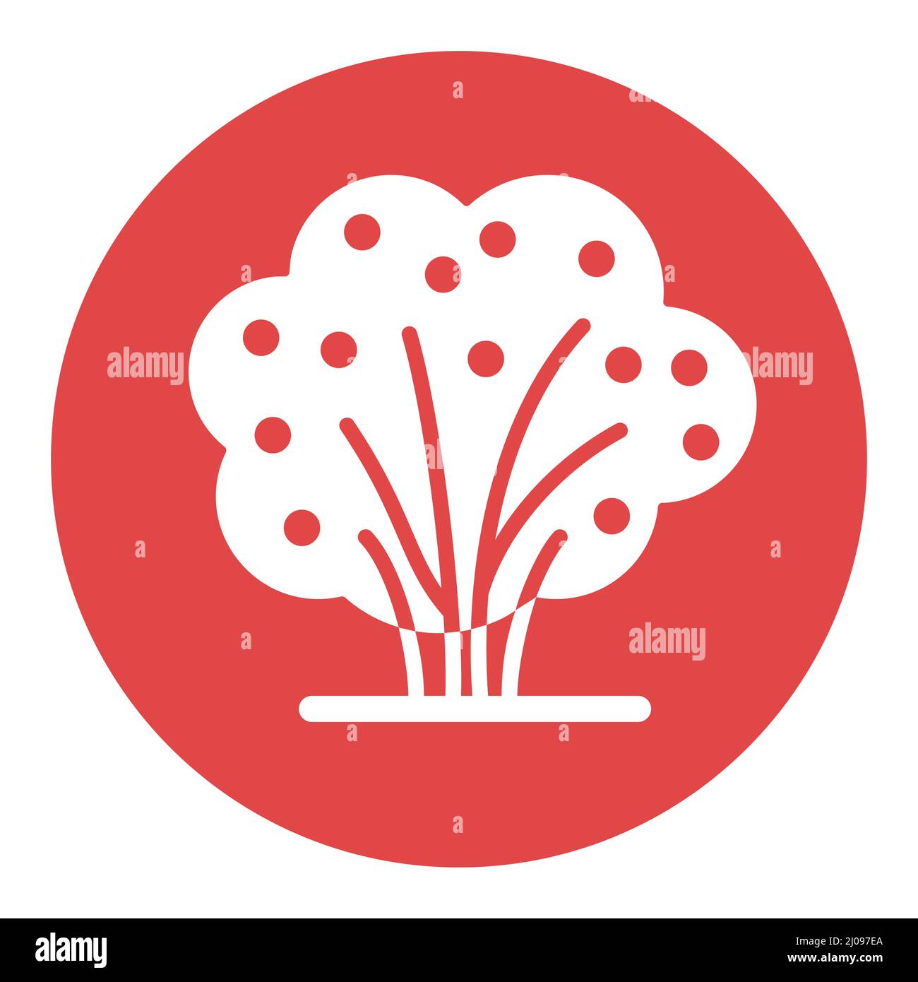 Gooseberry plants Stock Vector Images - Alamy