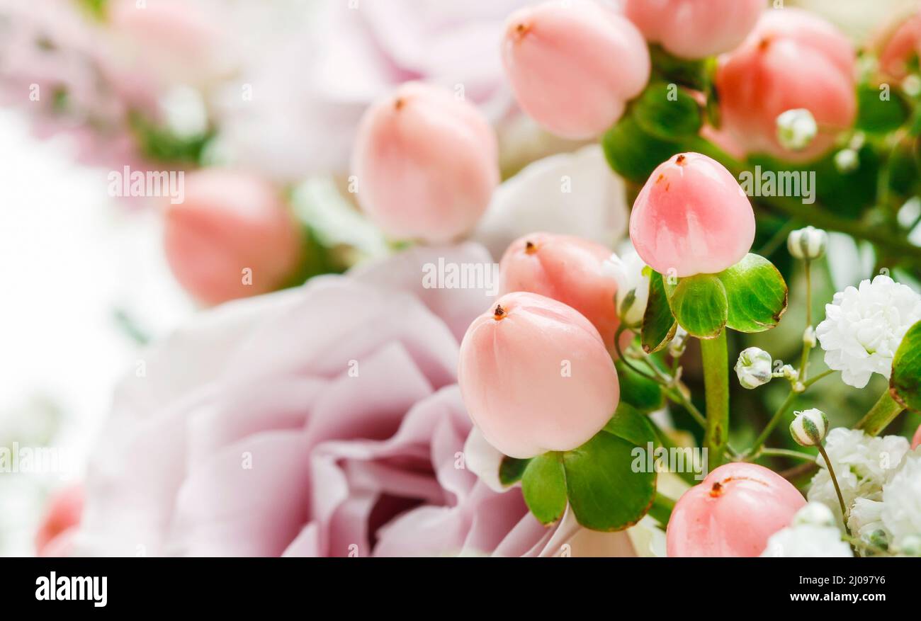 Miss coco hi-res stock photography and images - Alamy