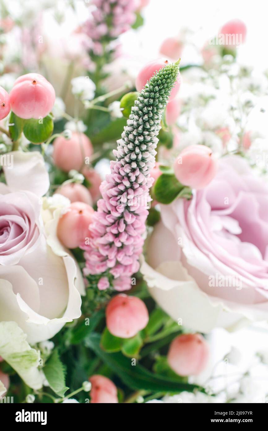 Miss coco hi-res stock photography and images - Alamy