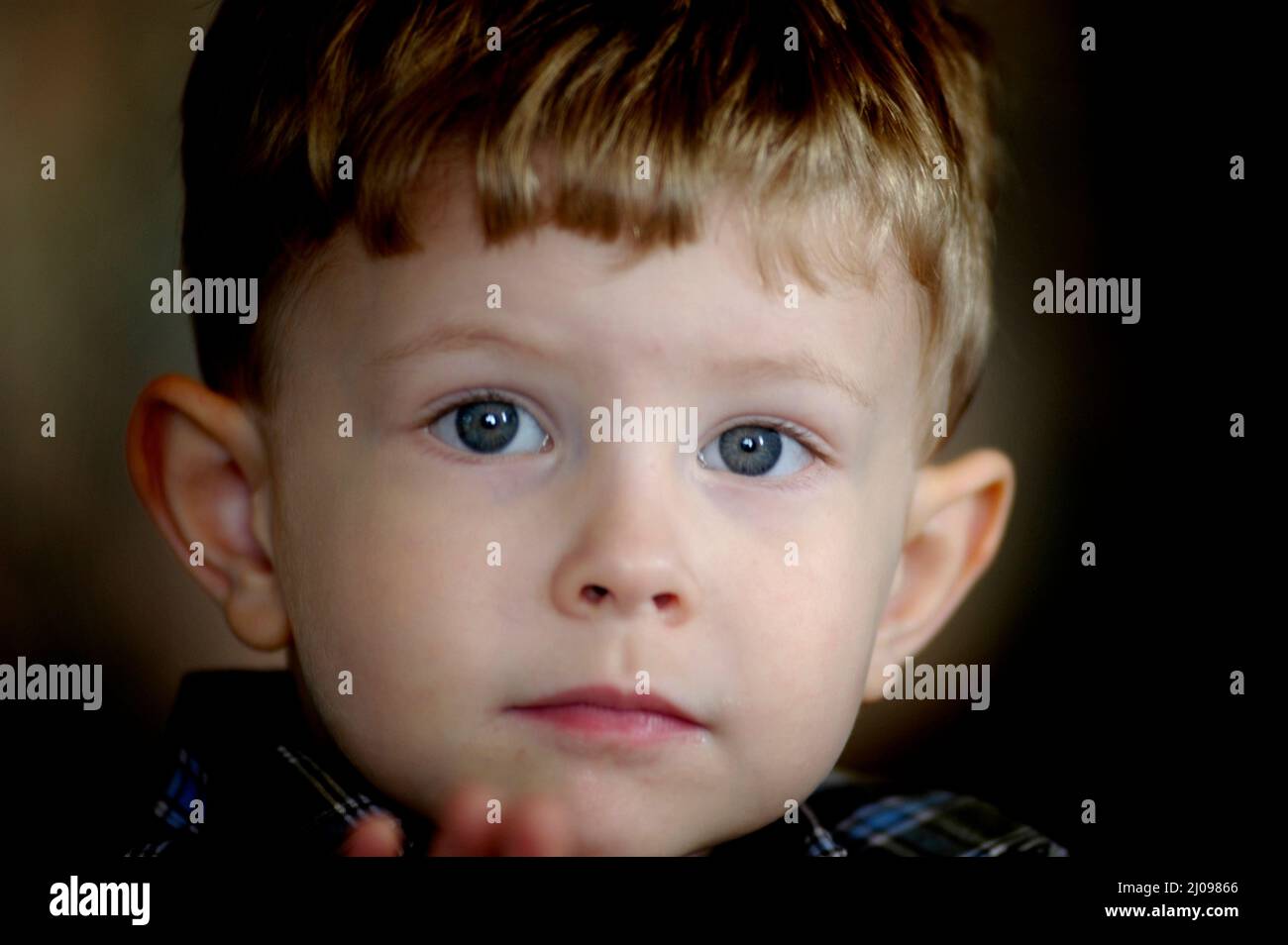 Kid toddler face at his large family gathering Stock Photo - Alamy